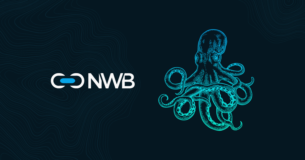 NWB - Agence Web à Mantes la Jolie (78)